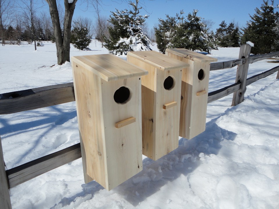3-pack Wood duck nest box build yourself kits (white cedar). | eBay