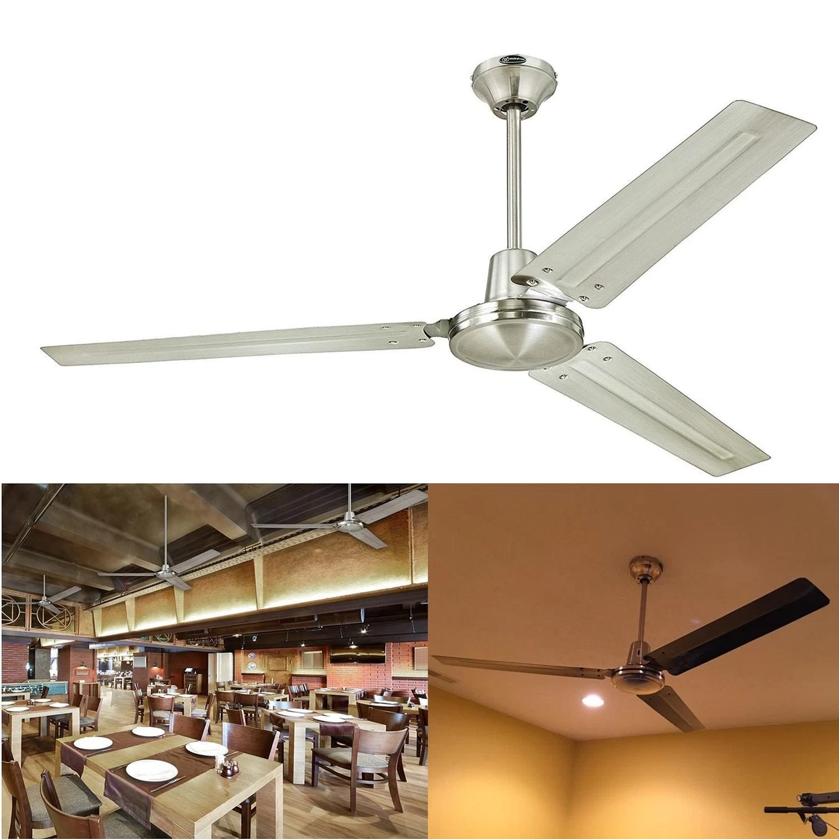 Triple Blade Ceiling Fan | Shelly Lighting