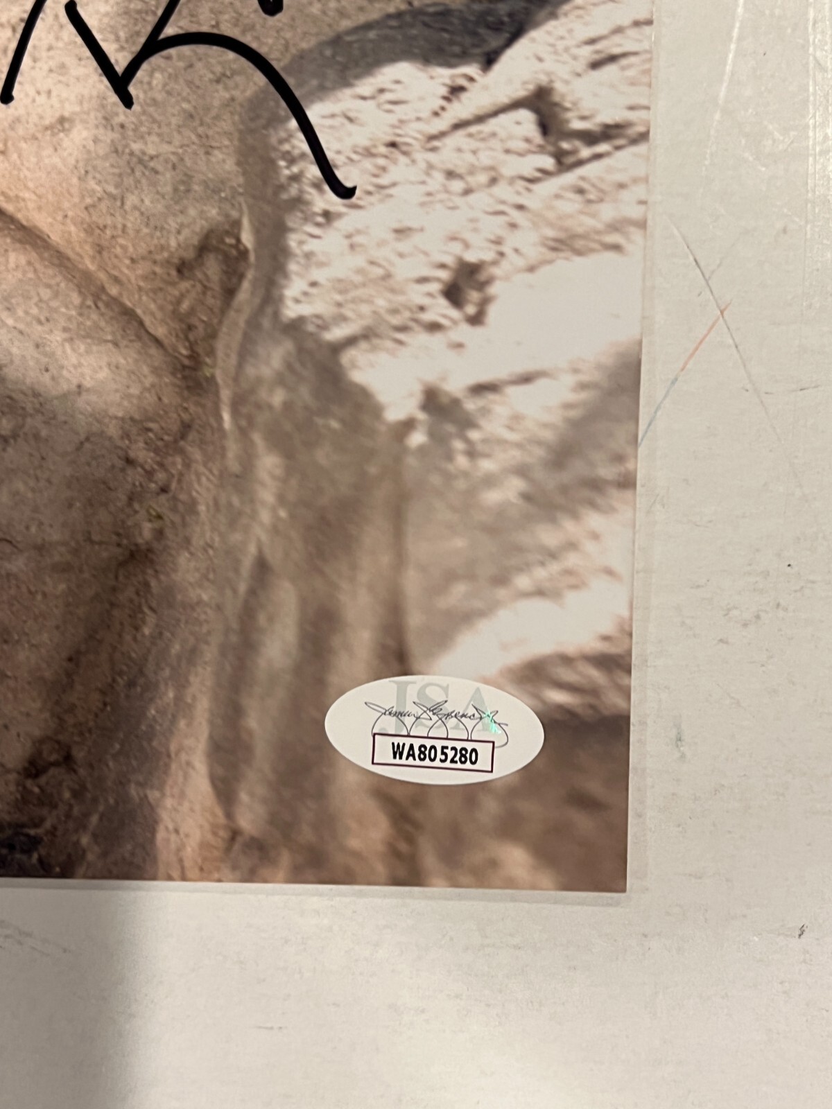 Brande Roderick Hand Signed Playboy Authentic Autographed 8x10 Photo ...