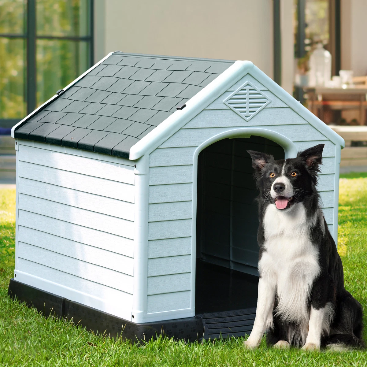 Cool Dog House