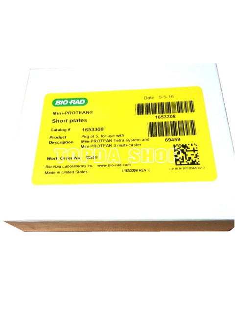 Bio-Rad 1653308 Mini Protean 3 System Short Glass Plates 5/pk for sale ...