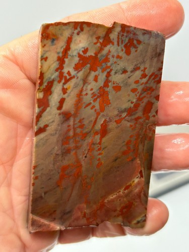 Red Butte Dendritic Jasper slab Cabbing Lapidary Combo ship avail | eBay