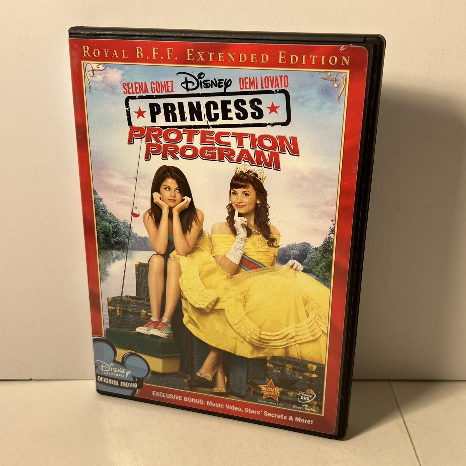 Demi Lovato Princess Protection Program