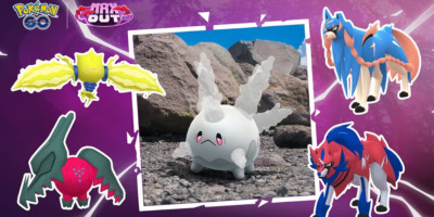 ⚡ Pokemon Go Ticket Max Out Finale / Dyna-Maximum-Finale ⚡ | eBay