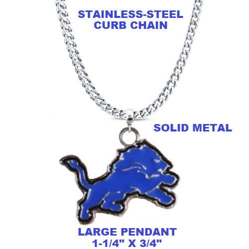NFL Detroit Lions Team Logo Pendant Necklace on a Stainless-Steel Curb ...