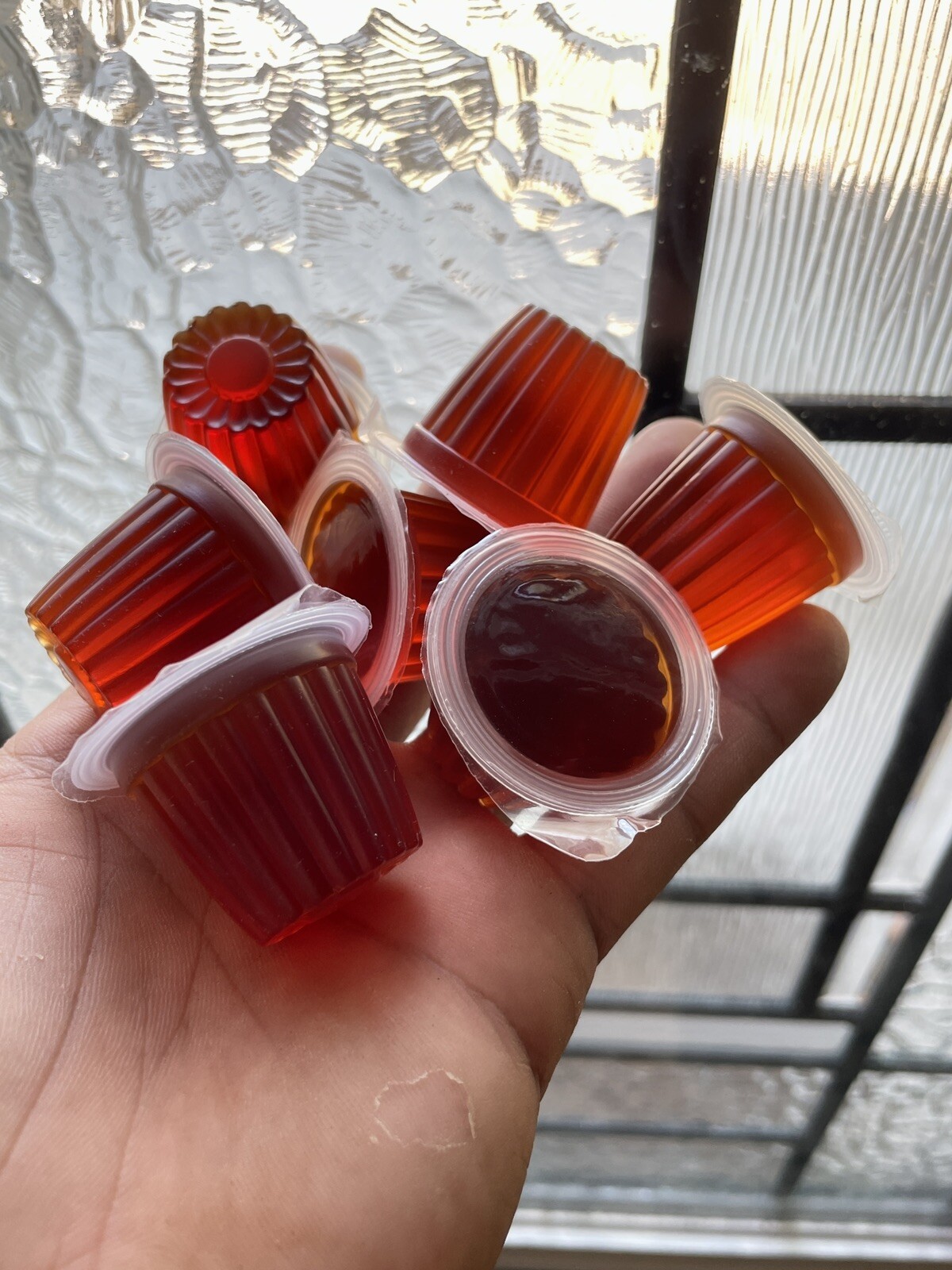 Professional Beetle Jelly 55 pcs Value Pack ( Stag & Rhino )-----God's ...