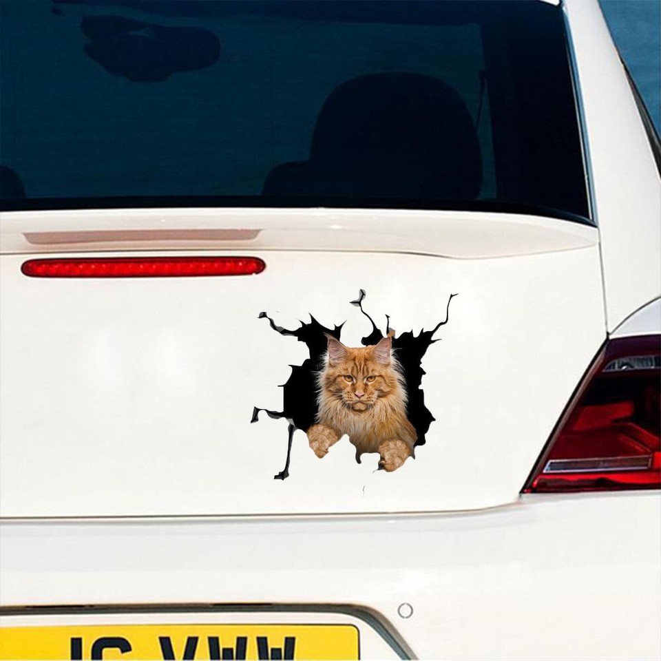 Funny Cat Car Sticker Decal Vinyl For Laptop Window Bonnet Bumper ...