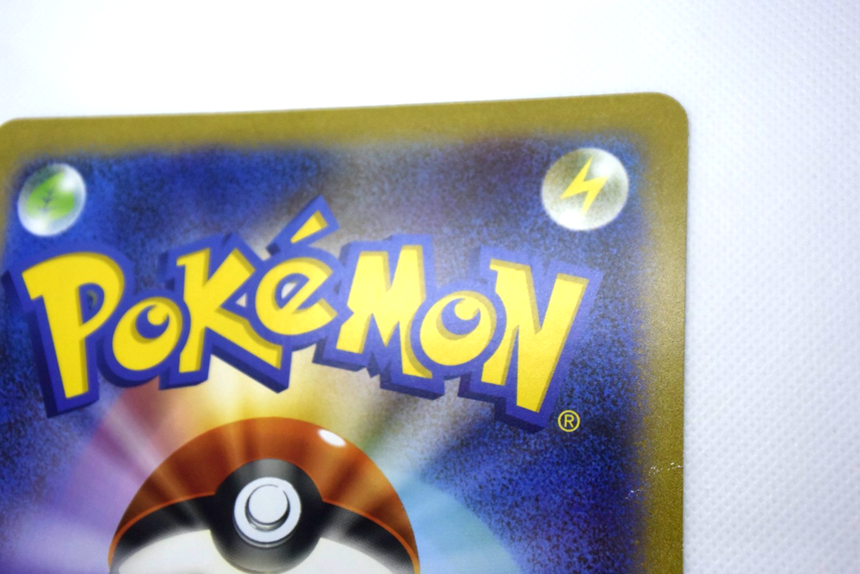 Poke run lun TV's Pikachu and Friends S-P Sword Shield Promo Jumbo ...