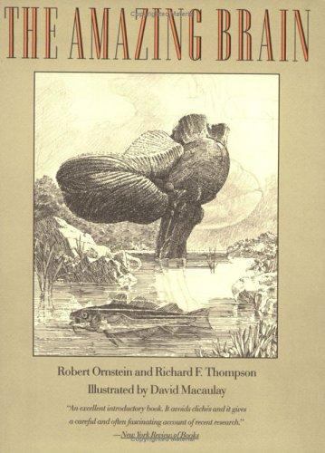 Amazing Brain by Richard Thompson and Robert Ornstein (1991, Trade ...