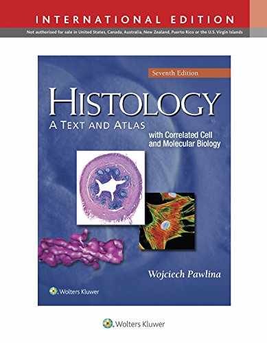 Histology: A Text and Atlas: With - Paperback, by Ross PhD Michael ...