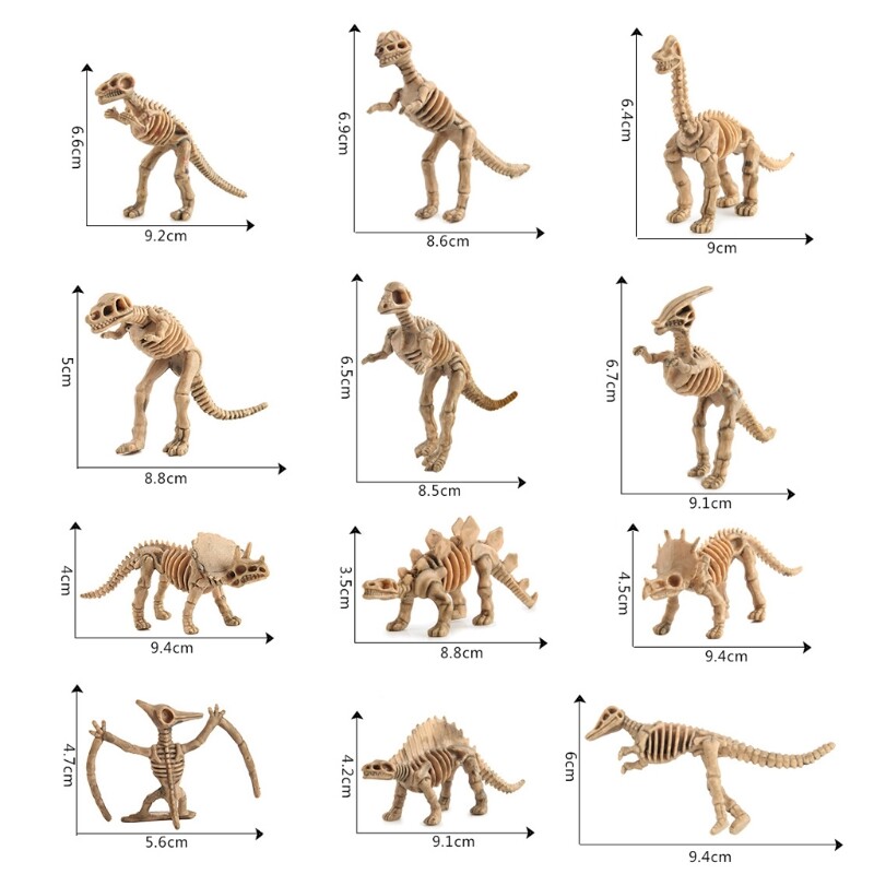Simulation Dinosaur Skeleton Models 12Pcs Fossils Assorted Figures ...