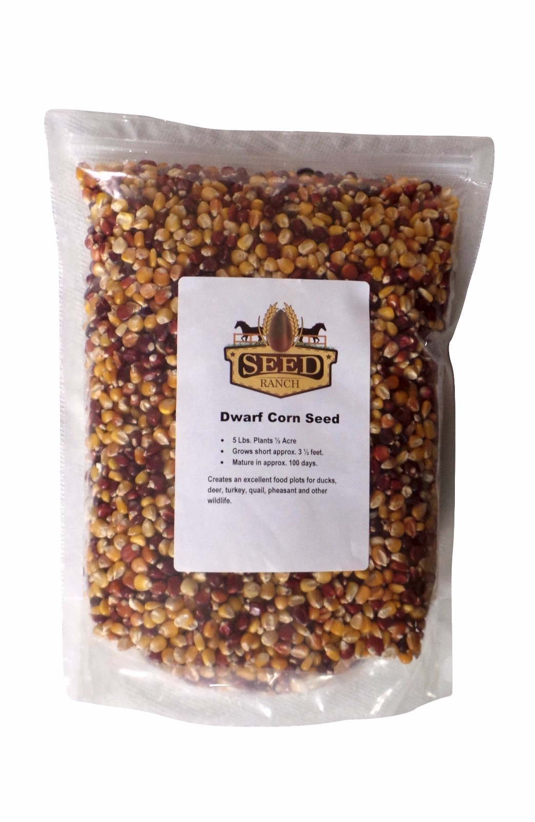 Roundup Ready RR Dwarf Corn Food Plot Seed - 5 Lbs. | eBay