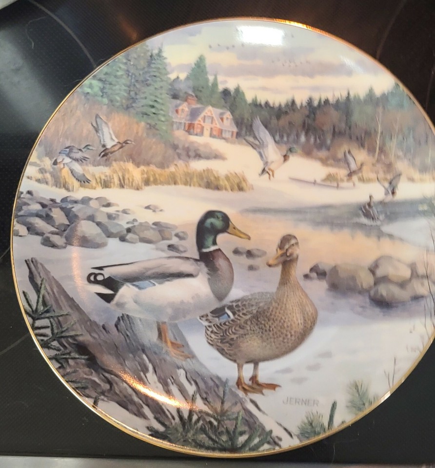 Mallard Collector Plate By David Maass Highly Collectible | eBay