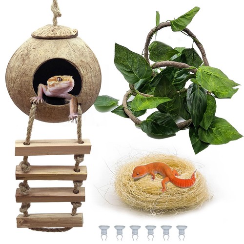 Tfwadmx Crested Gecko Coconut Hide,Leopard Gecko Coco Hut Hideout Cave ...