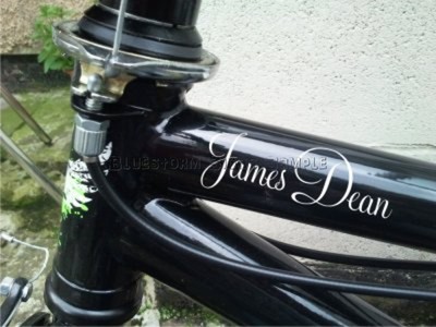 Personalised Name BMX Pedal Bike Cycle Push Bike Stickers Decals X2 | eBay