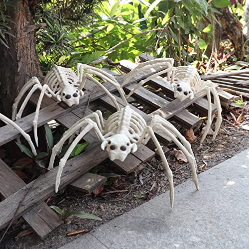 Halloween Spider Decorations Animal Skeleton Realistic Plastic Spider ...