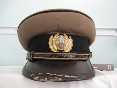 ROMANIA SOCIALIST RSR JR. OFFICER'S ARMORED VISOR HAT. VF+ MEDAL | eBay