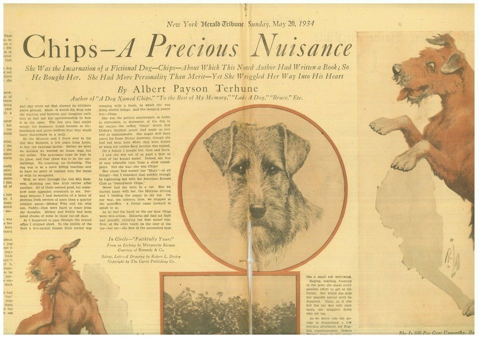 Lawrence Toney Painting Wilbur Forrest Hazlitt Brennan Terhune Chips ...