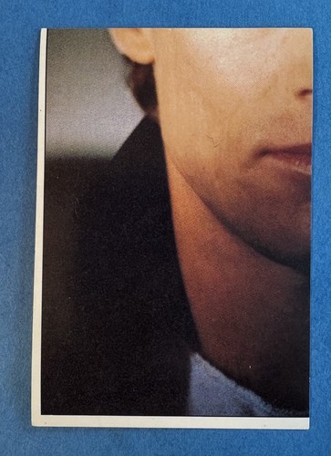 1990 Panini Fan Club Collection Pop Star Stickers Bryan Adams #13 | eBay