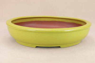 Bonsai Pot Shinto oval 33cm x 28.7cm x h 7.2cm Yellow Japan Pottery ...