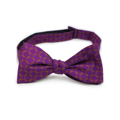 Sigma Phi Epsilon SigEp Fraternity Silk Bow Tie- Self-Tie- Greek ...