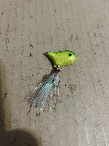BILL NORMAN FRONT RUNNER TRICK FISHING LURE | eBay