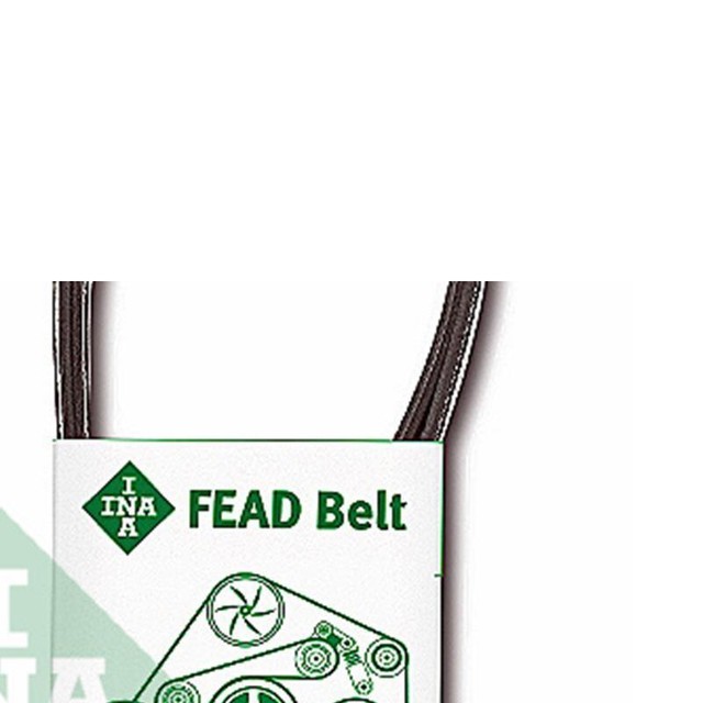 V-ribbed Belts for BMW Chevrolet Ford INA FB 6pk1555 for sale online | eBay