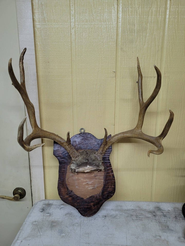 KUSTOM SIGNALS INC TRAFFIC RADAR SYSTEM HAWK Traffic Radar System | eBay