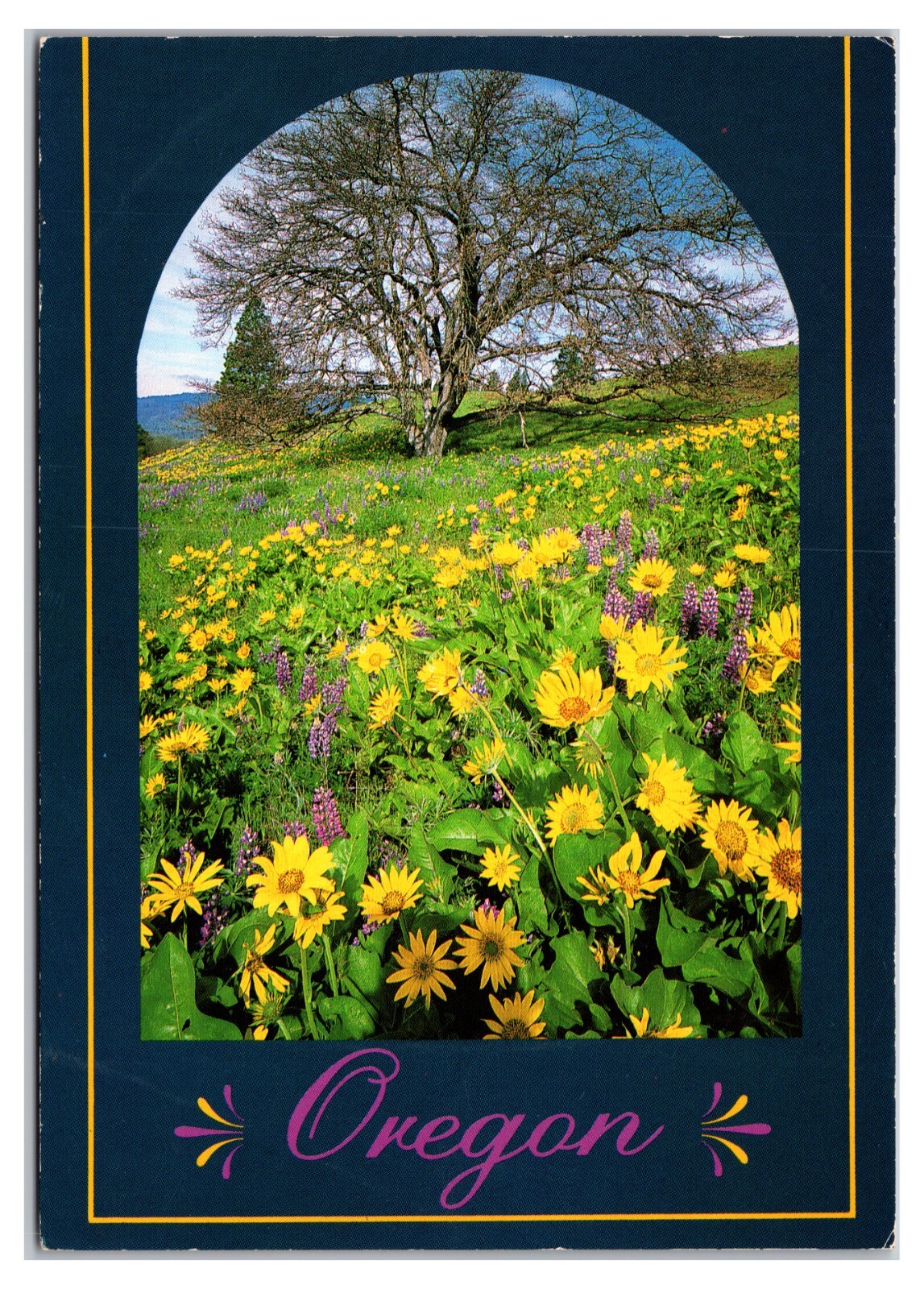Vintage 1990s - Flowers In The Countryside - Oregon Postcard (UnPosted ...