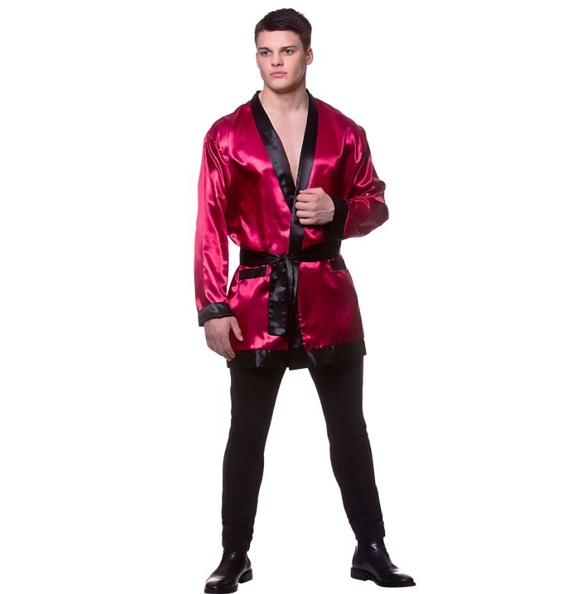 Adult HOLLYWOOD BACHELOR Robe Playboy Fancy Dress Costume Hugh Hefner ...