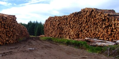 Photo 6x4 Log piles by the River Snizort Peiness A couple of big piles ...