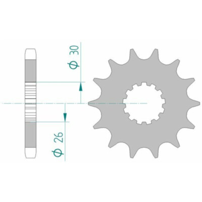 Standard Stahlritzel vorne 52900 - 530 AFAM 52900-15 MULTISTRADA ABS ...