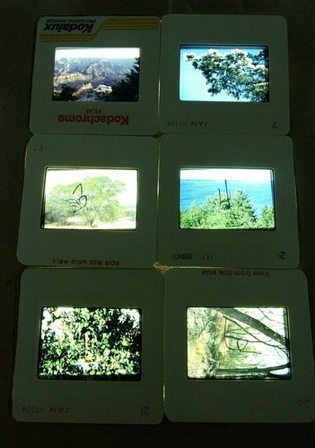 Lot of 6 Original Vintage 35mm Kodak Photo Color Slides Nature ...