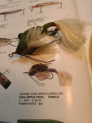 Rare Cool Ripple Female Frog Fishing Lure In Great Shape See Pictures ...
