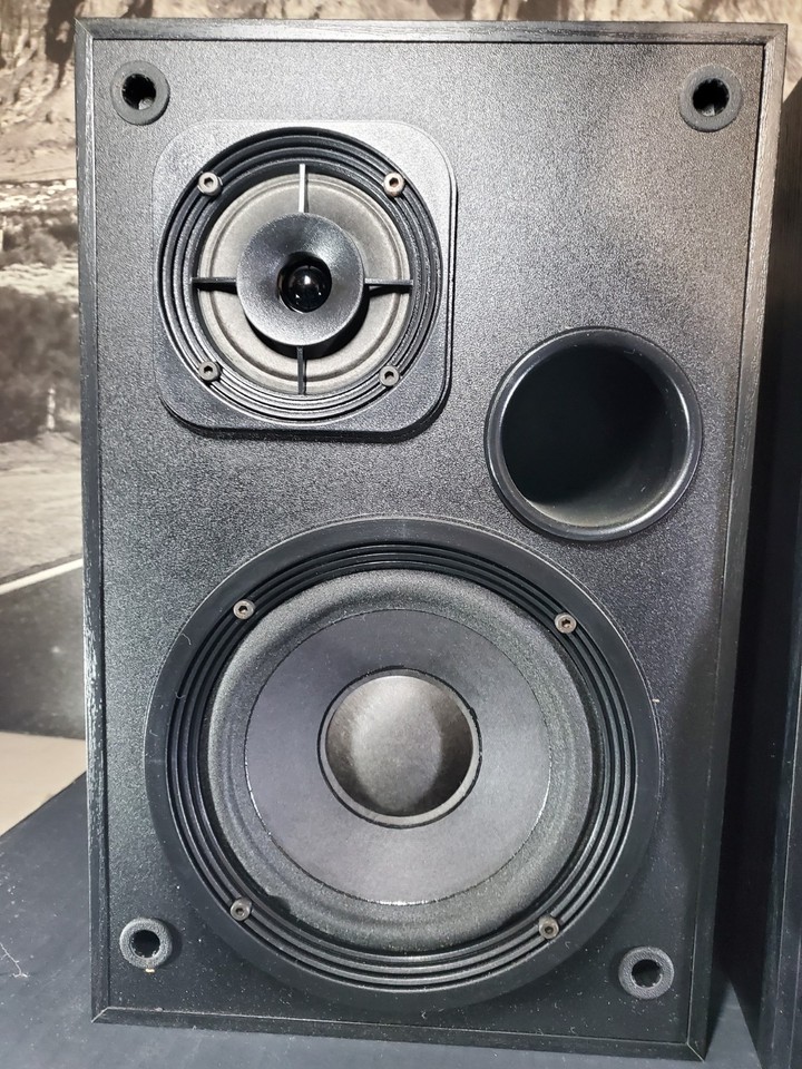 Bose Interaudio 2000 Speakers 70 Watts. | eBay