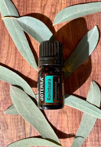 doTERRA Ravintsara Essential Oil 5 ML 5ML Expires 07/2029 Brand New ...