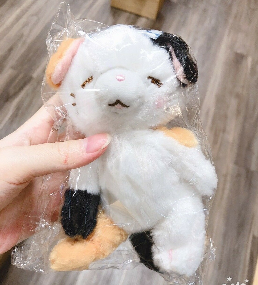 Japan Hot Spring Kitten Sleeping Cat Mattari Nyanko Onsen Plush Cute ...