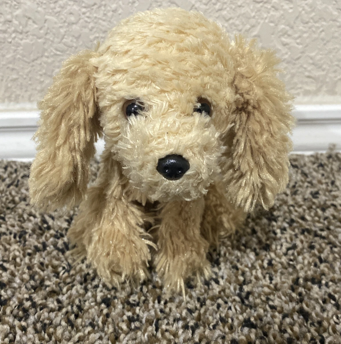 Teacup Cocker Spaniel