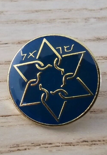 IDF Israel Army Uniform Pin Star Of David Jewish D1 FREE SHIPPING | eBay