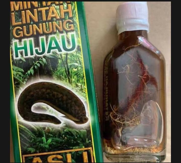 20 Box Pure Green Leech Organic Oil For Men Big Long Strong (30ML ...