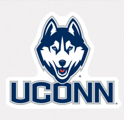 UConn Huskies NCAA Sticker Decal 11 | eBay