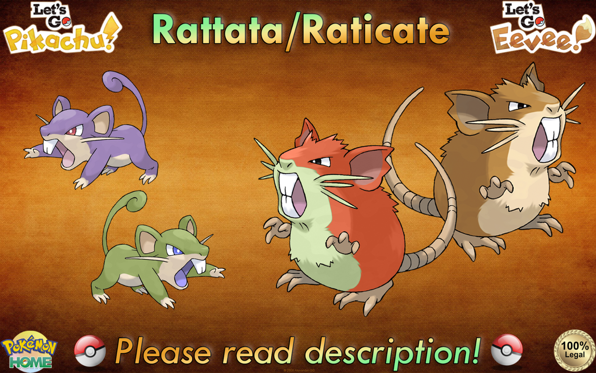 Raticate Wallpaper Proton's Raticate | Pokémon Pedro Animation Wiki