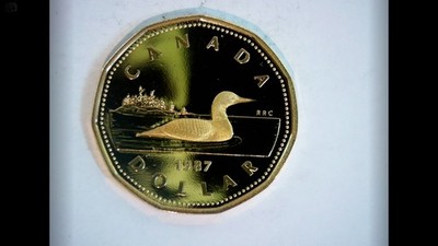 Canada 1987 1 Dollar Loonie (Common Loon) Coin | eBay