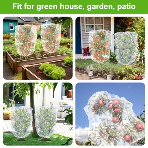 2 Pack Garden Plant Fruits Tomato Blueberry Bushes Protection 3.9 x 4.6 ...