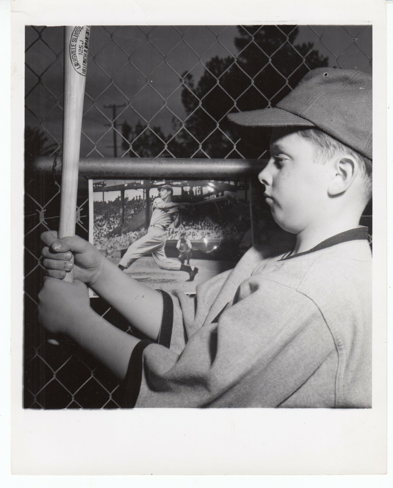 Joe Dimaggio Jr