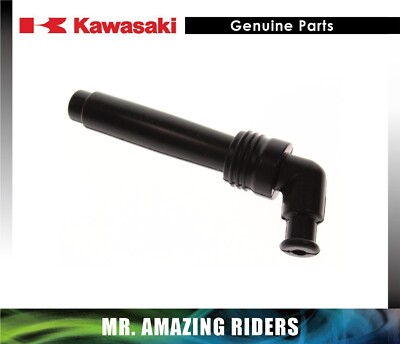 Kawasaki Genuine OEM Part Ninja 21160-0013 Cap-Assy-Plug | eBay