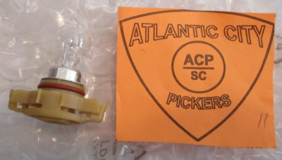 GM 15839897 FOG LAMP BULB | eBay