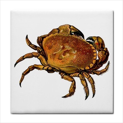 Red Crab Crustacean Sea Life Art Backsplash Decorative Border Ceramic ...