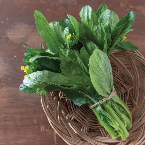 Choi sum Seeds - Green 7D Improved - Vegetable Seeds - USA Grown - Non ...