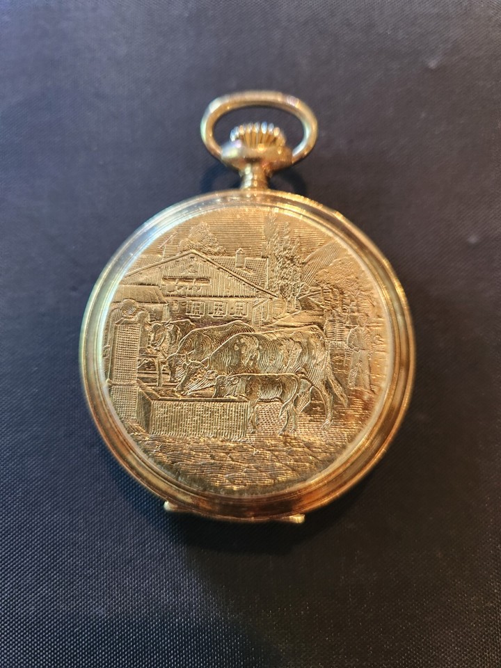 Arnex Swiss Incabloc 17 Jewel Farm Scene on Dial & Hunter Case Back ...